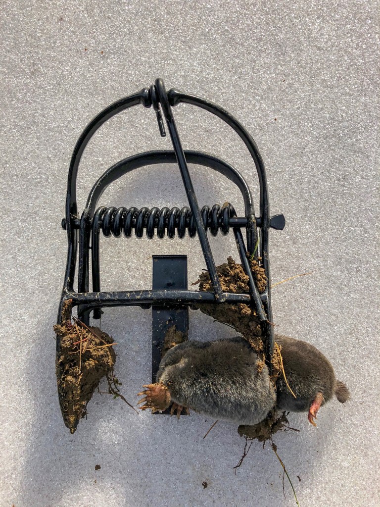 Curse-Form-Rejection-Template.docx (Renee Agatep) – Rejection Letters