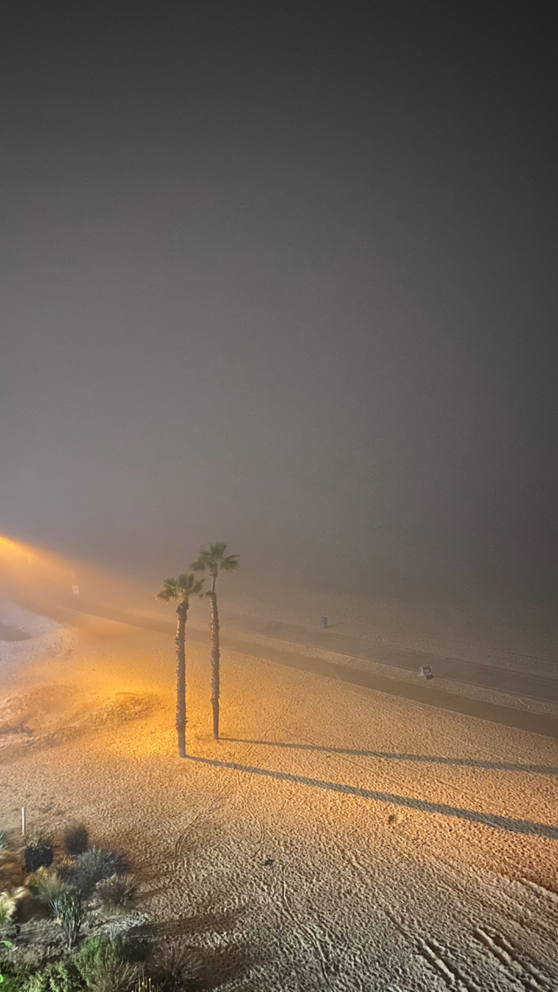 Mk II (Evan Nicholls) – Rejection Letters