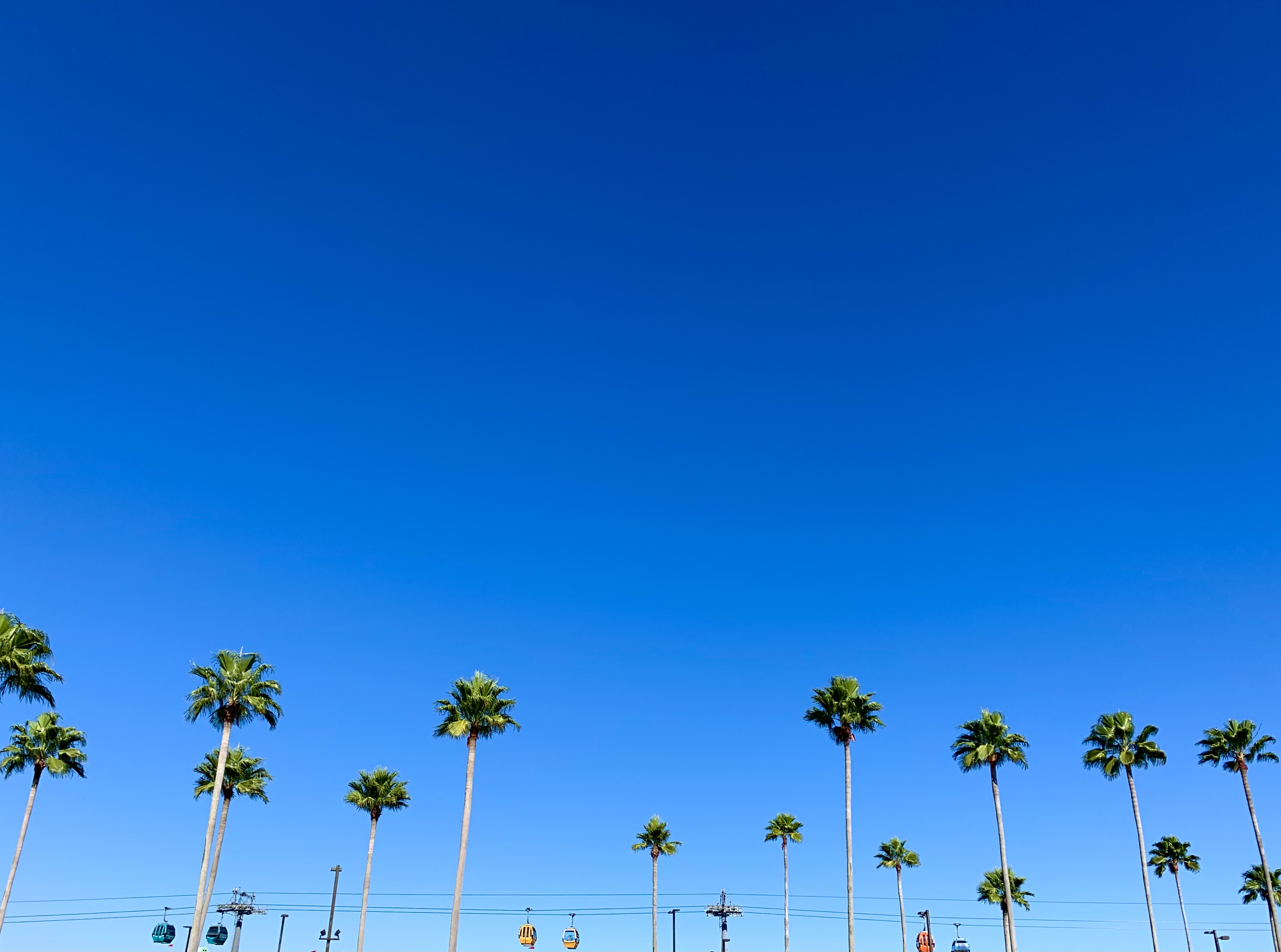 proof (Bel Wolf) – Rejection Letters