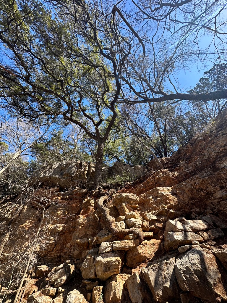 Canyonlands (Alex Gurtis) – Rejection Letters