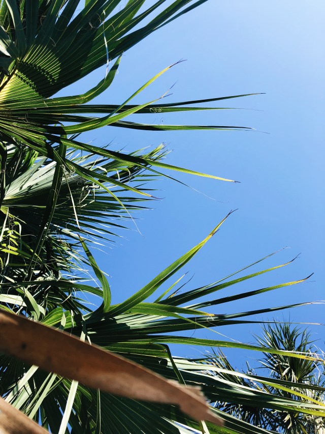 poetry – Rejection Letters