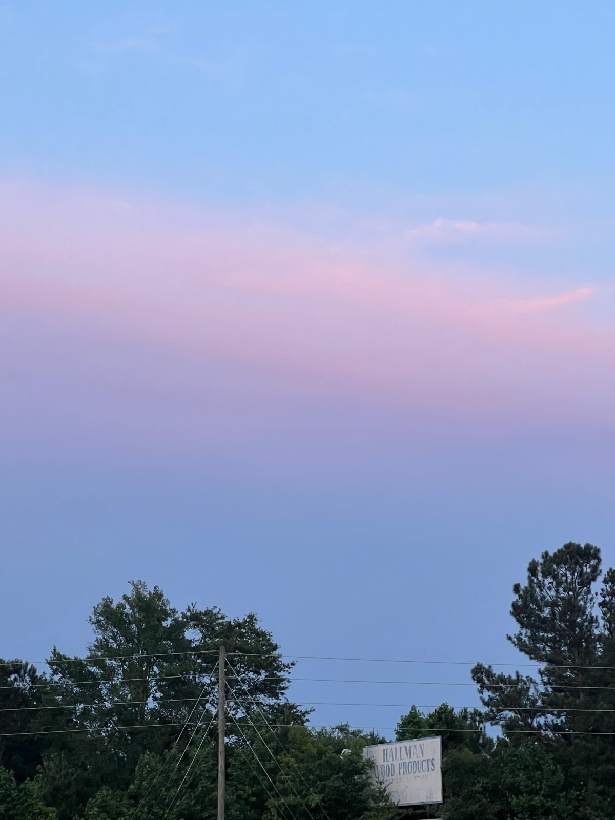 Fiction – Rejection Letters