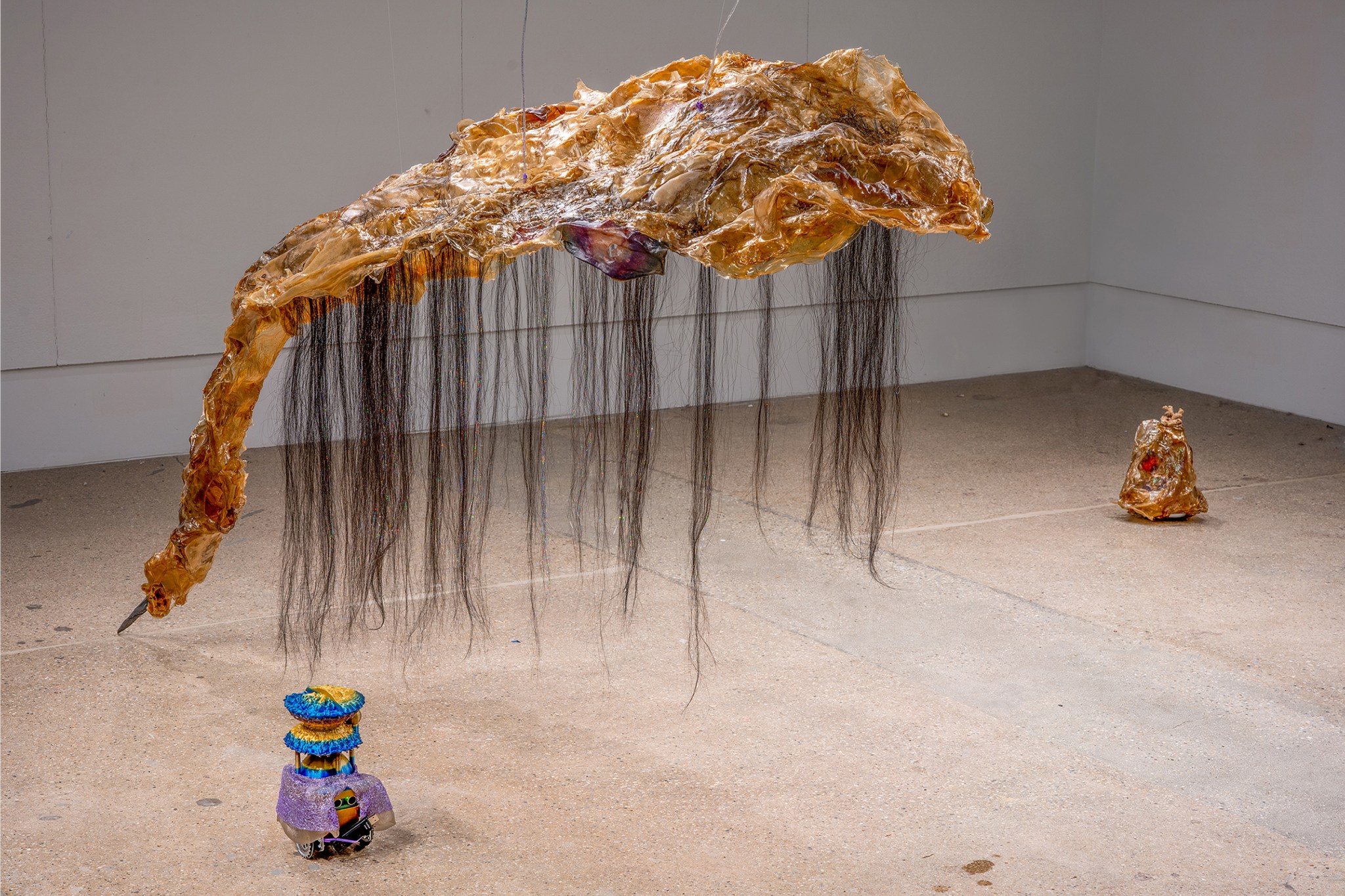 nts (John Janelle Backman) – Rejection Letters